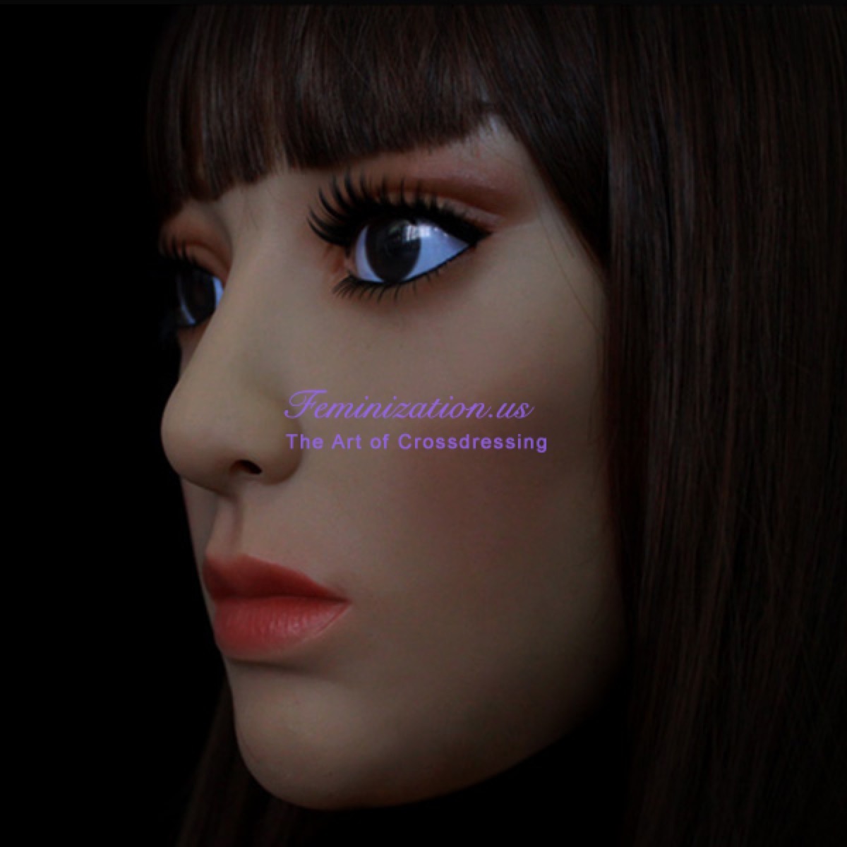 Semi Mask Monica Crossdresser - feminization.us - The Art of Crossdressing